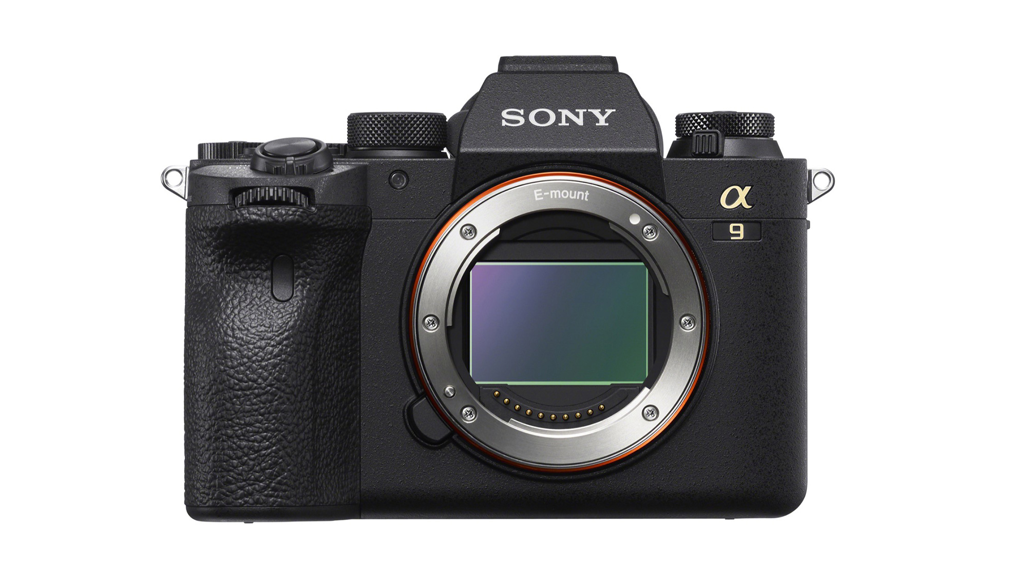 Christchurch Sony Alpha Touch & Try - Sony Scene