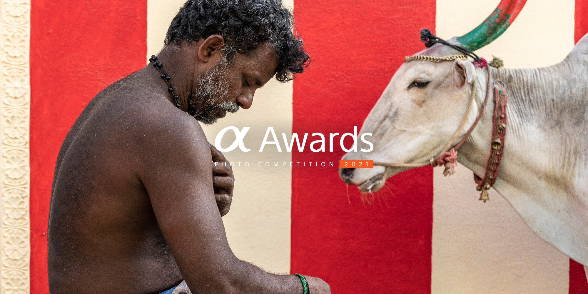 Alpha Awards - Sony Scene