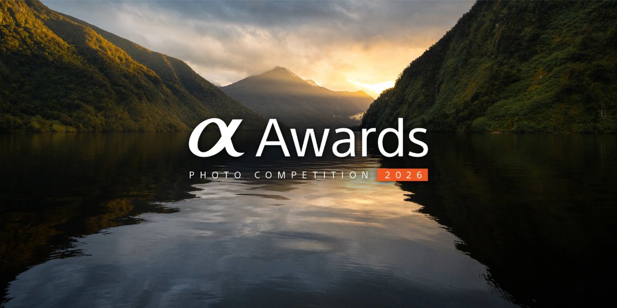 Alpha Awards 2026 - Scene