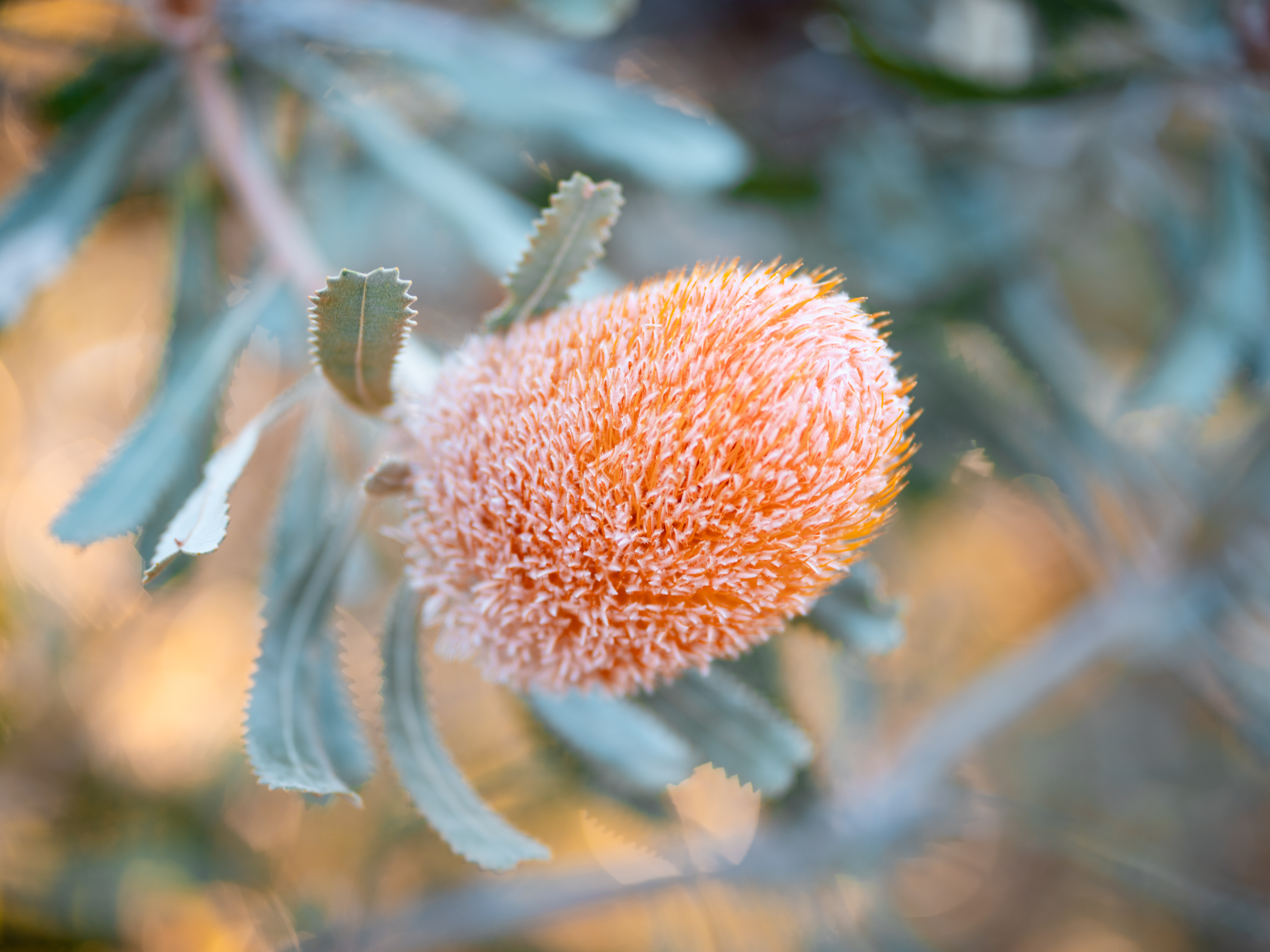 Perth Monthly Meetup - Sep 2023 - Scene