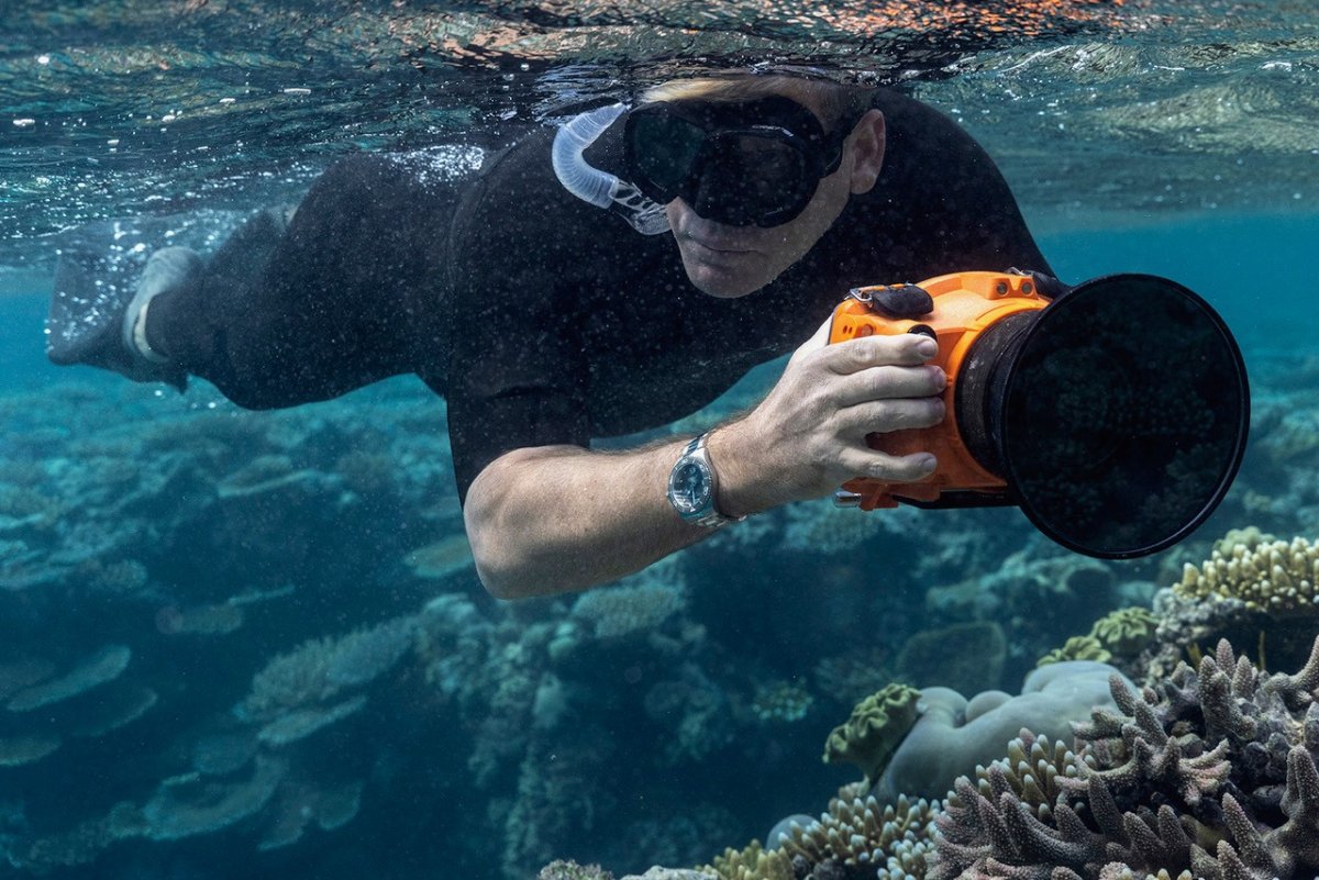The Ultimate Guide to Sea Life Photography — From My Lens to Yours - Scene