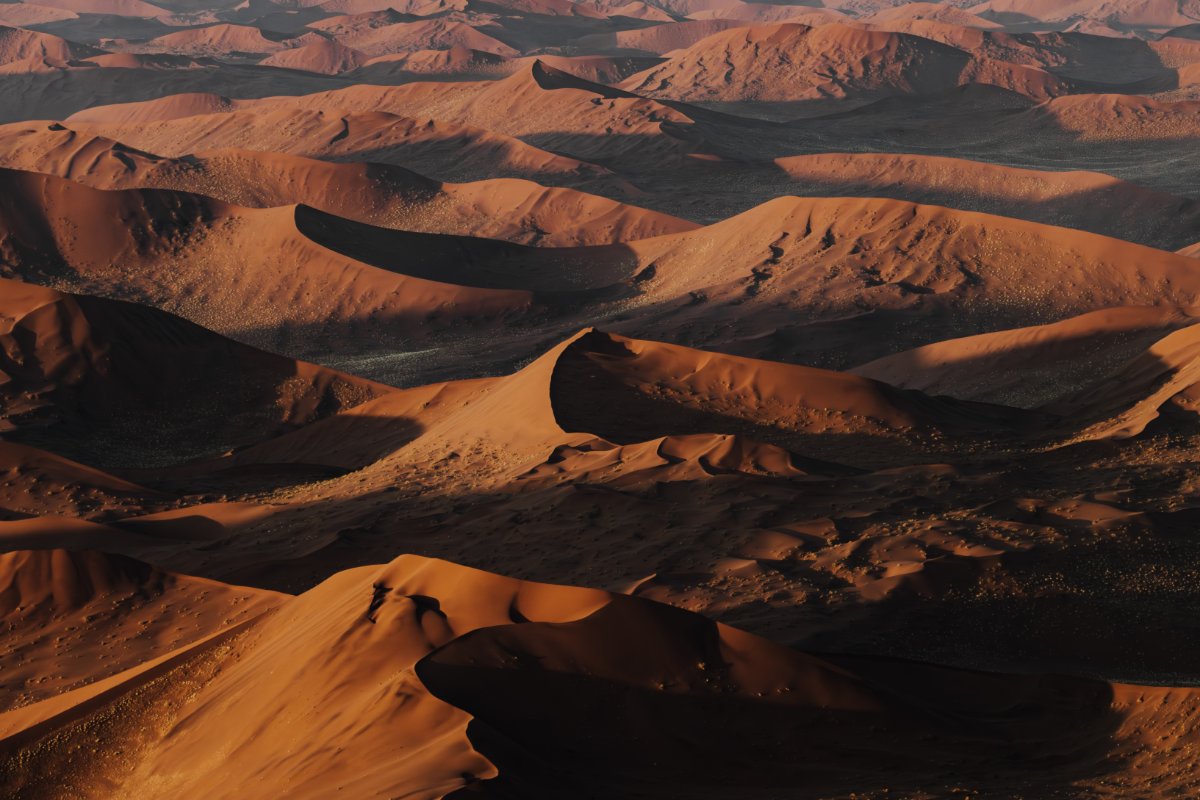 Your Guide to Landscape Photography - Scene