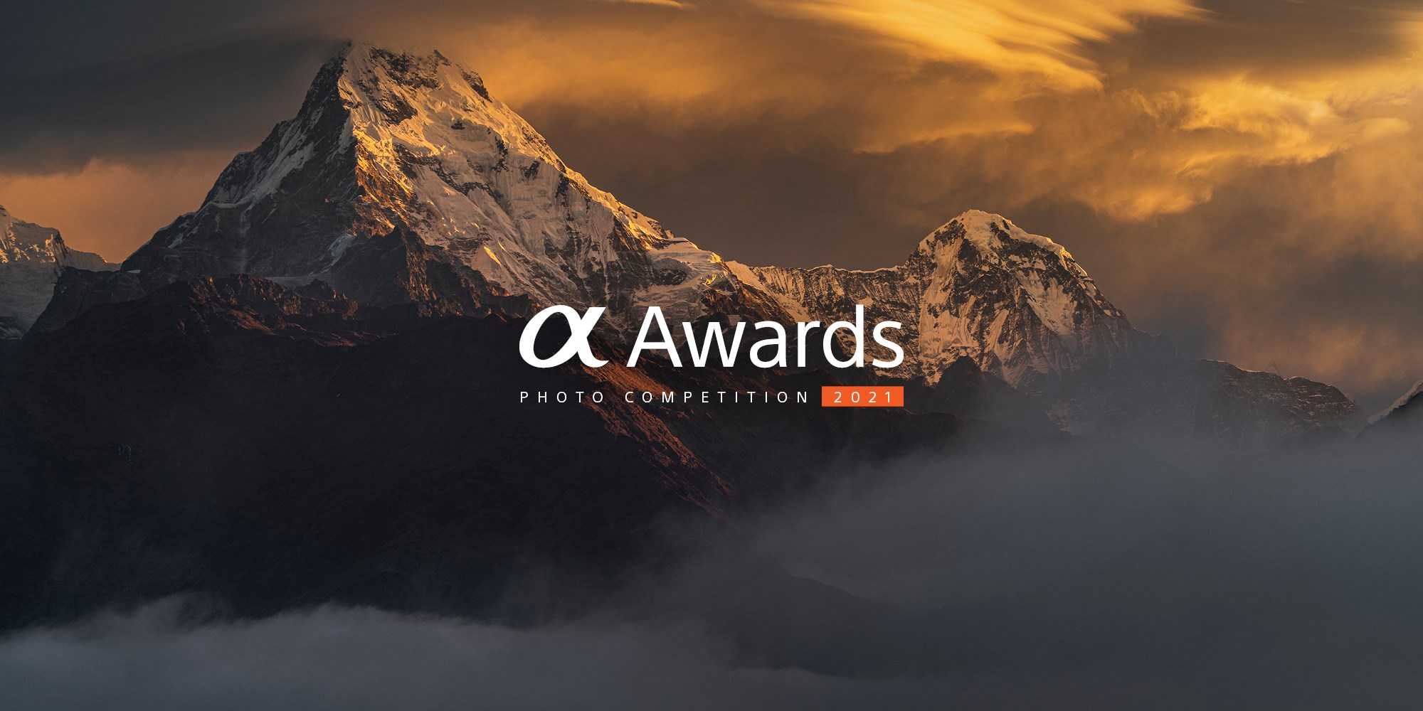 Alpha Awards - Sony Scene