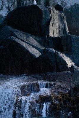 Night & Automotive Editing Workshop with Northborders & Eric Peng - Scene