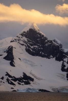 Alpha Artist Talk with Robin Moon - Scene